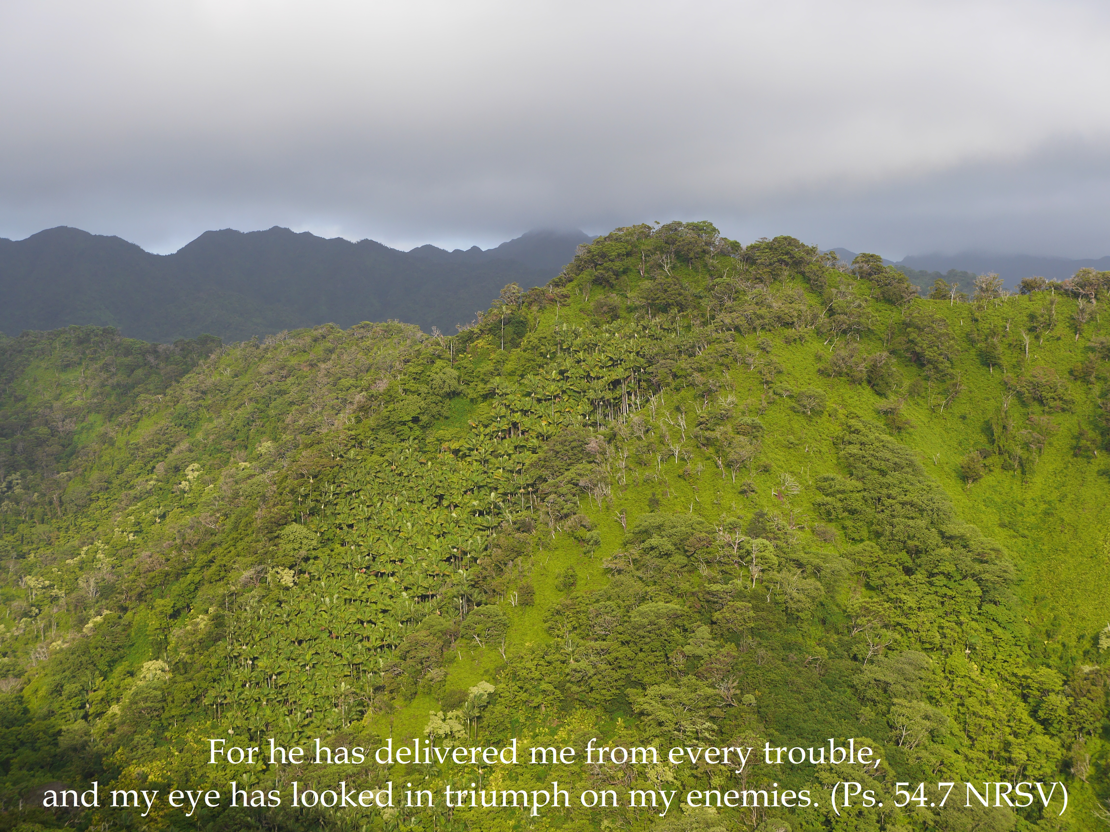 Psalm 54.7 NRSV – beliefspeak2