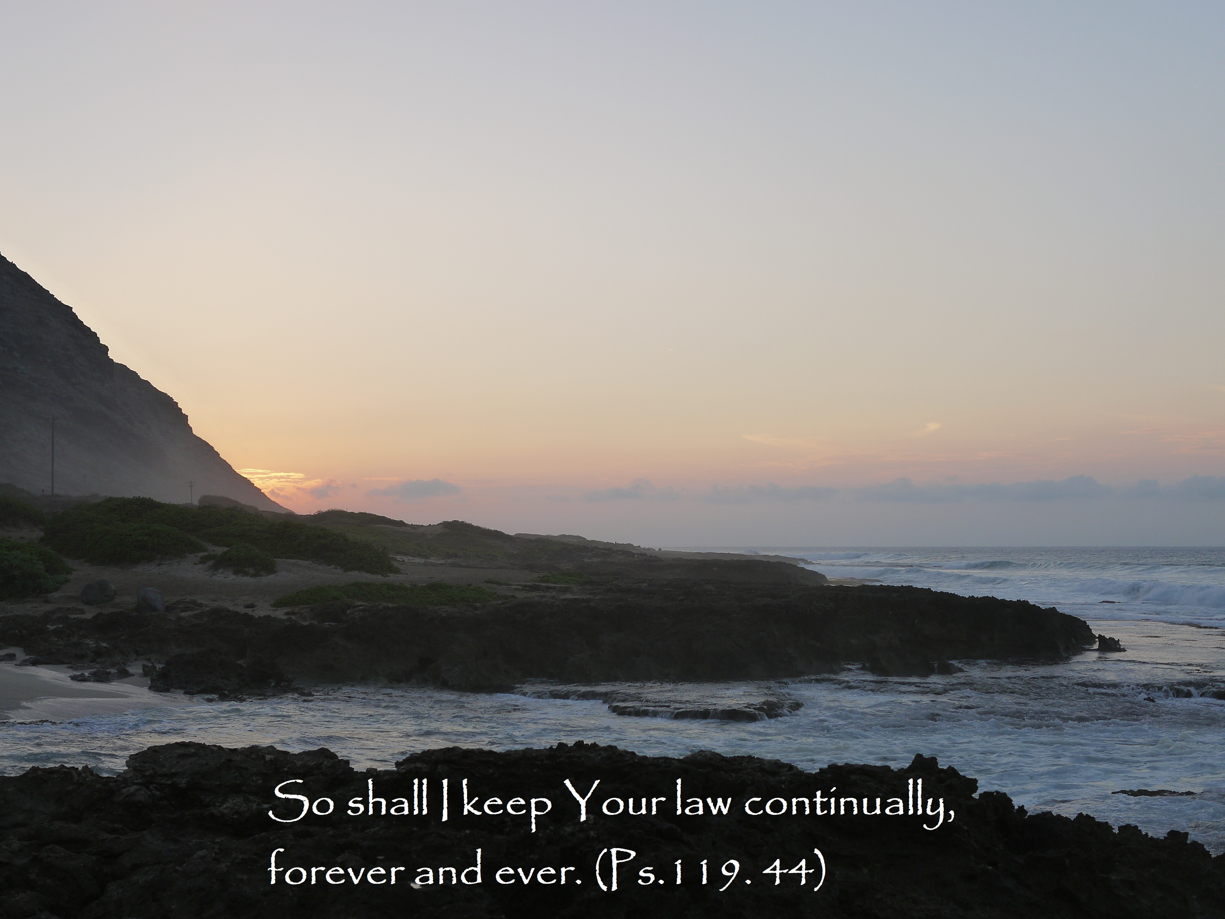 A Steadfast Life – beliefspeak2